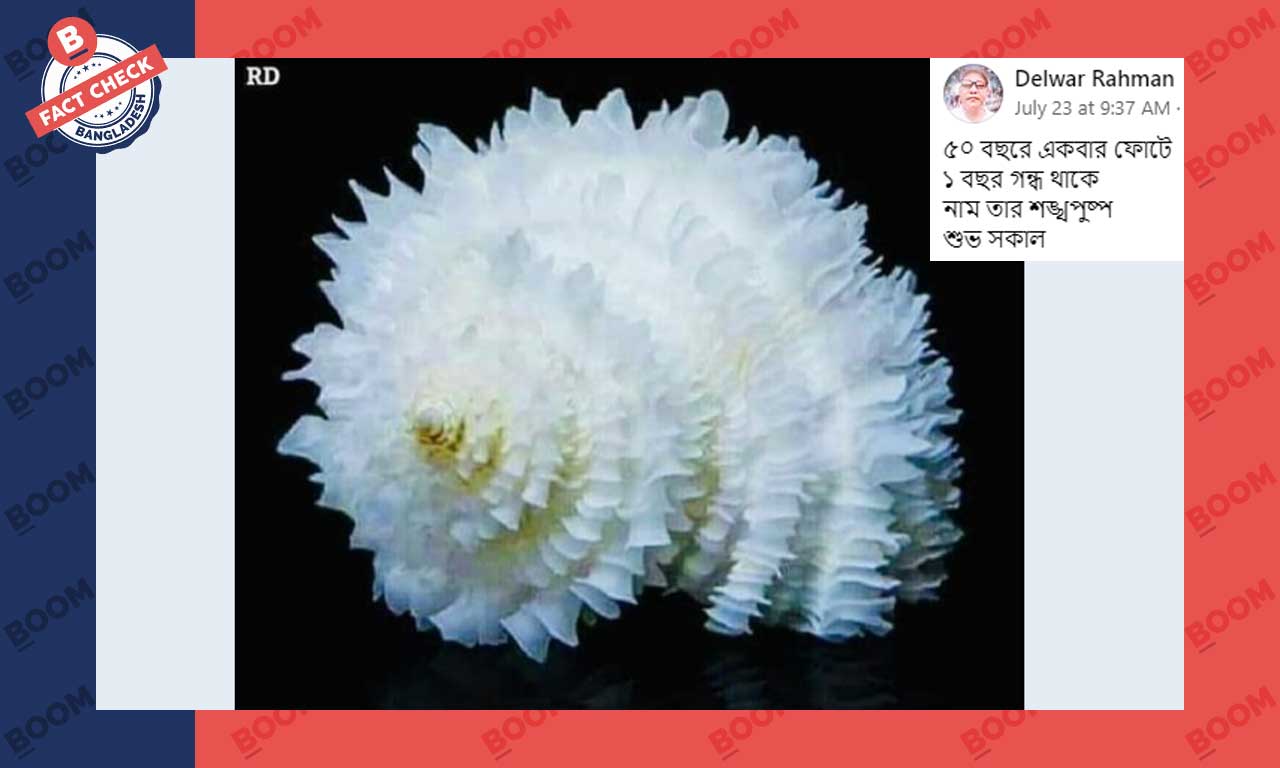 এটি ফুল নয় বরং একপ্রকার জলজ প্রাণী | The object shown in the picture ... এটি ফুল নয় বরং একপ্রকার জলজ প্রাণী | The object shown in the picture ...