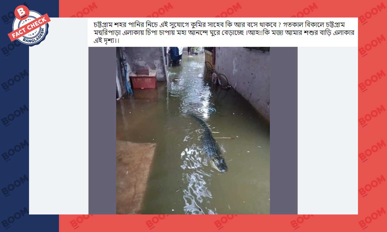 ছবিটি চট্টগ্রামে জলাবদ্ধ রাস্তায় কুমিরের নয় | The photo of the crocodile on the waterlogged ...